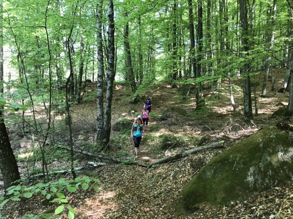 Tillsammanslöpning i Åkulla bokskogar - Trailrunning Sweden ...