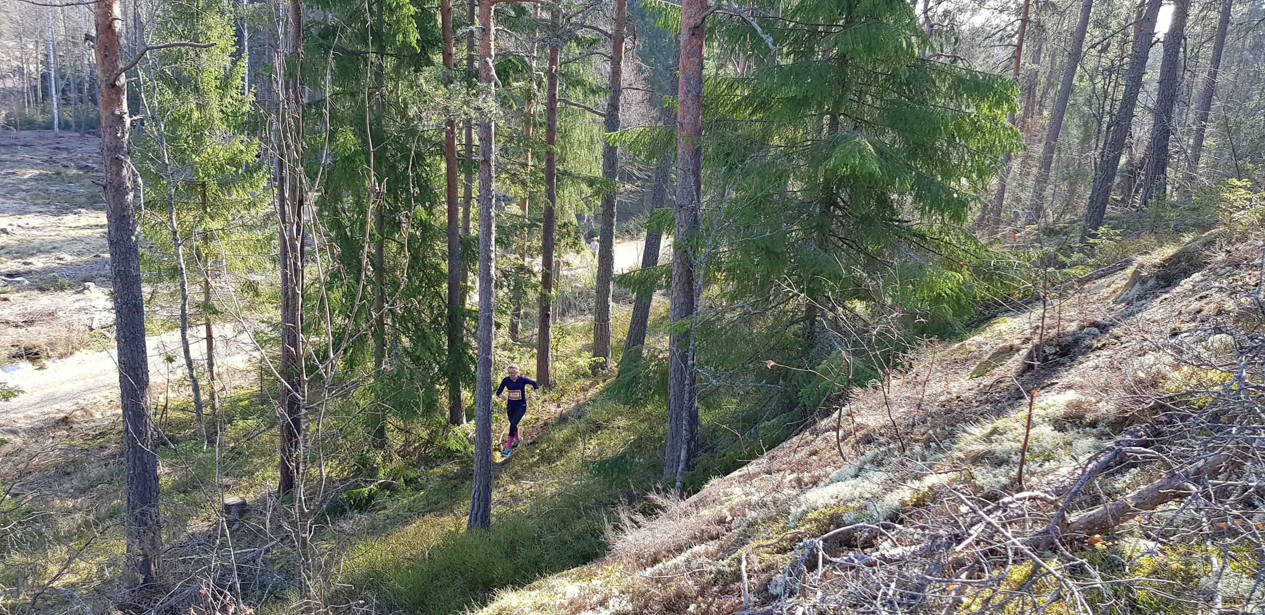Bra fart i Tjust Trail Run | Trailrunning Sweden Trailrunning Sweden