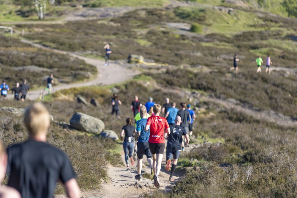 Nilsson och Ollin vann Trailvarvet - Trailrunning Sweden Trailrunning Sweden